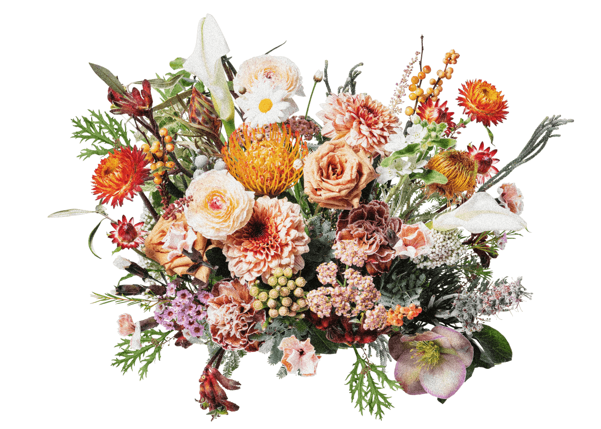 Shop Spring Flowers Collection 💐 | Florals for Spring, Groundbreaking ...