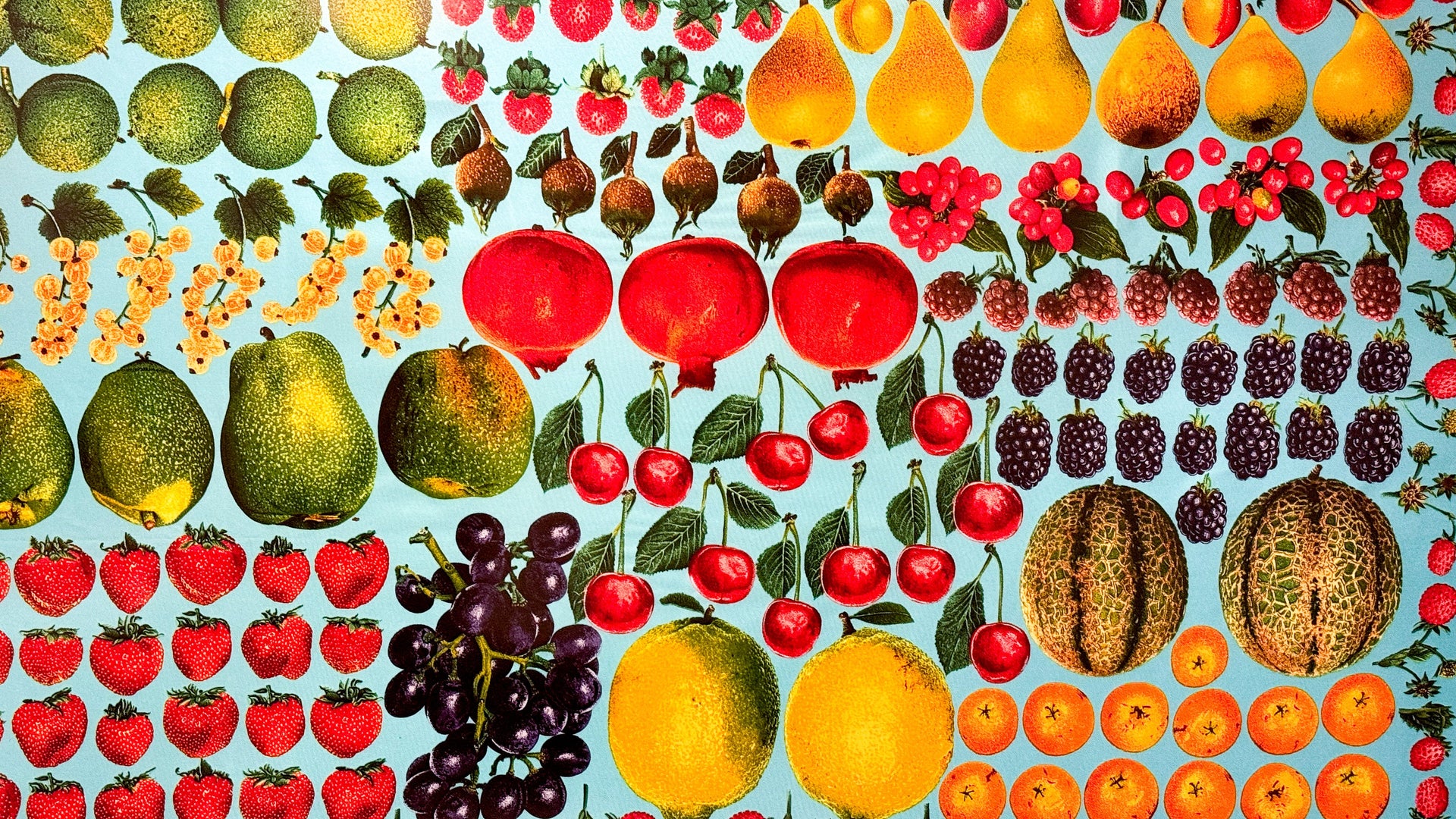 About Us – Polychrome Goods 🍊