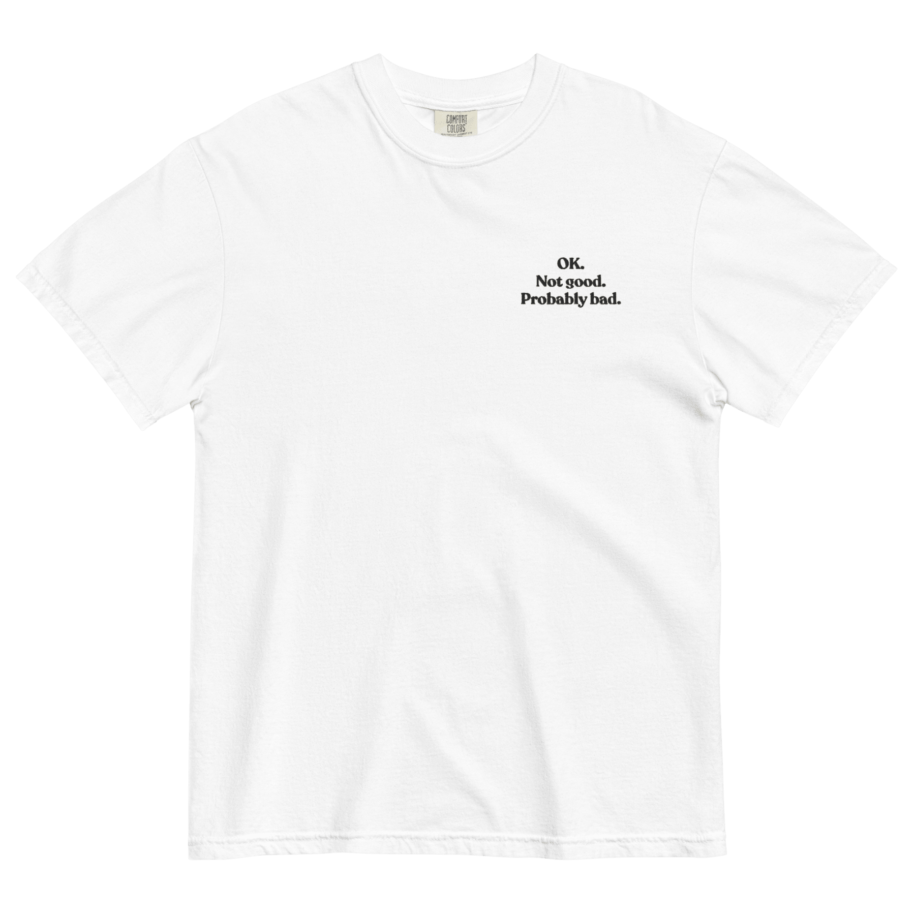 OK. Not Good. Probably Bad. Embroidered T-Shirt – Polychrome Goods
