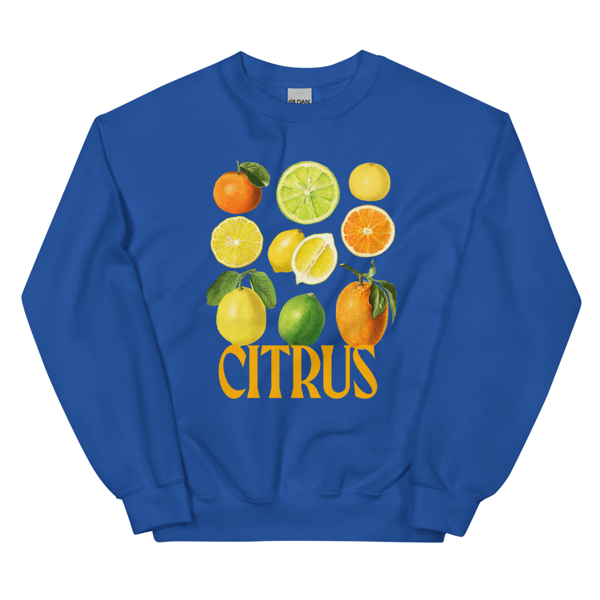 The Citrus Sweatshirt 🍋🍊 – Polychrome Goods