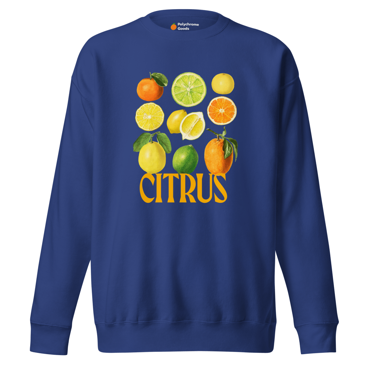 Shop the The Citrus Sweatshirt 🍋🍊 | Polychrome Goods 🍊