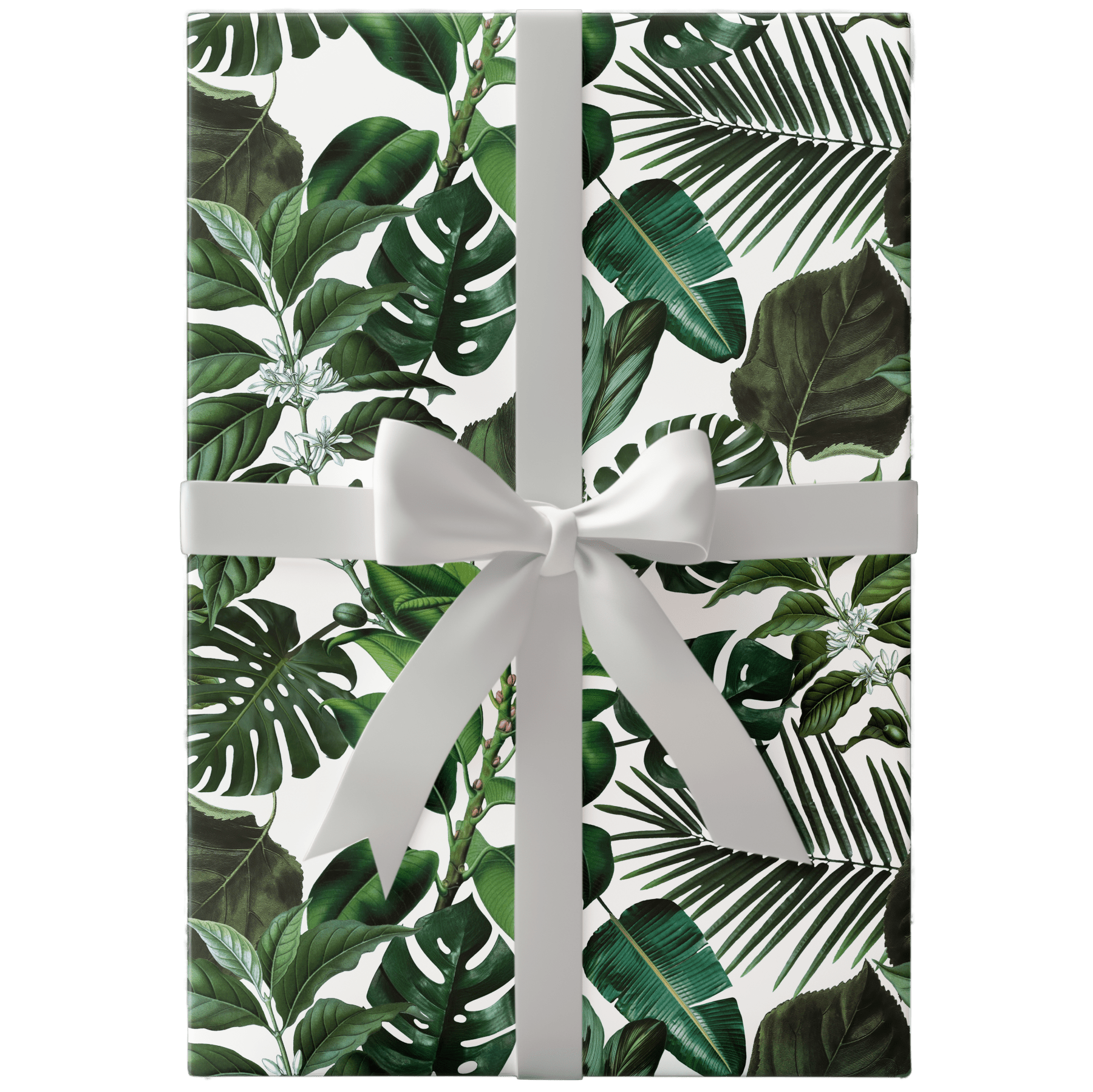 Tropical Monstera Plant Wrapping Paper | Premium Floral Gift Wrap ...