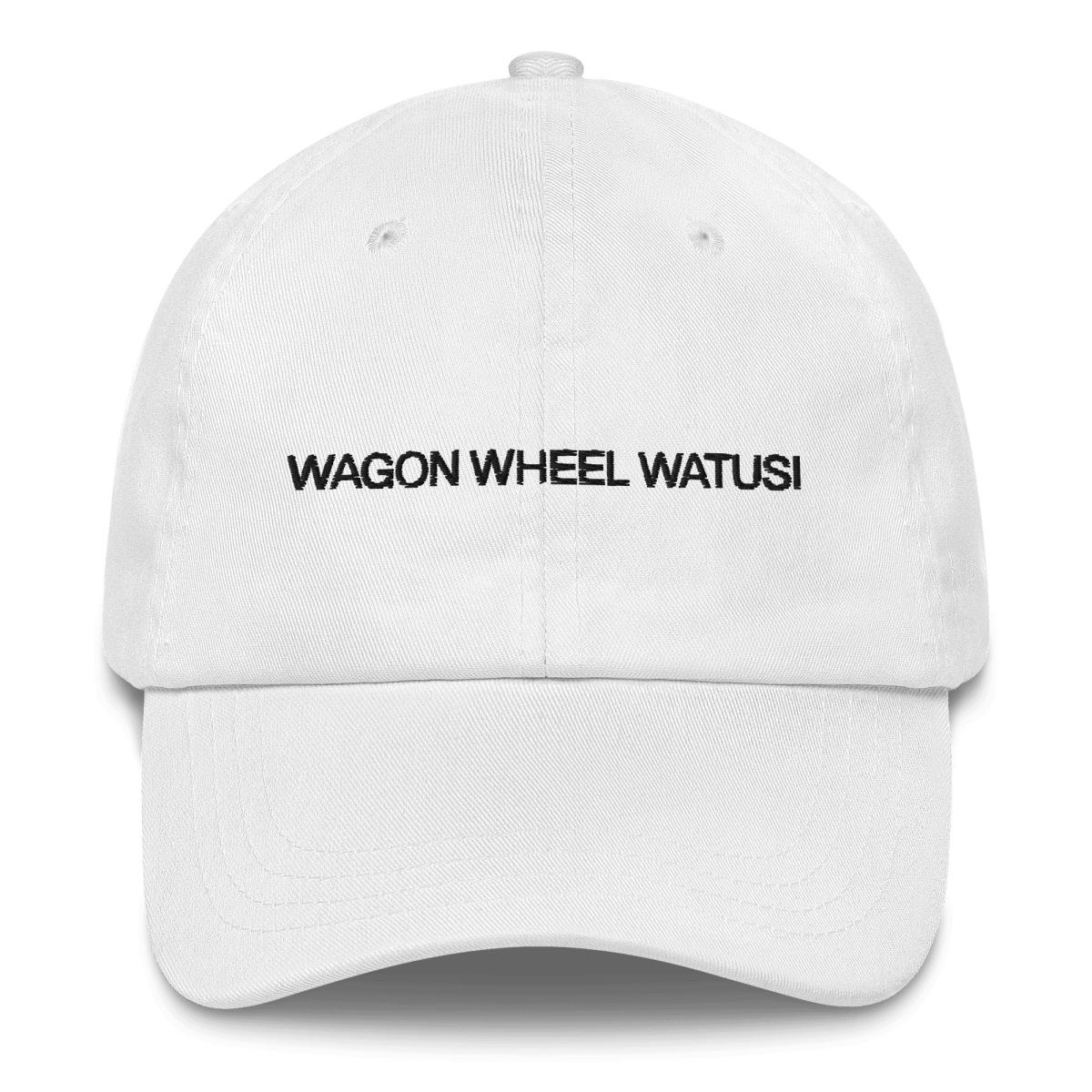 Wagon Wheel Watusi! Embroidered Hat | Burlesque – Polychrome Goods