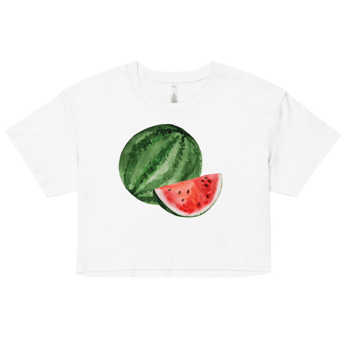 Watermelon Crop Top – Polychrome Goods